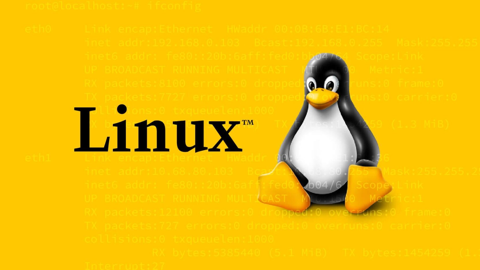 How To Assign A Static Ip Address Using Netplan Cpynet
